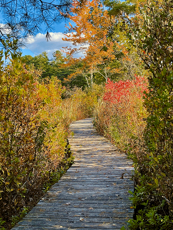 AVIS - 2024 Photo Competition Winners