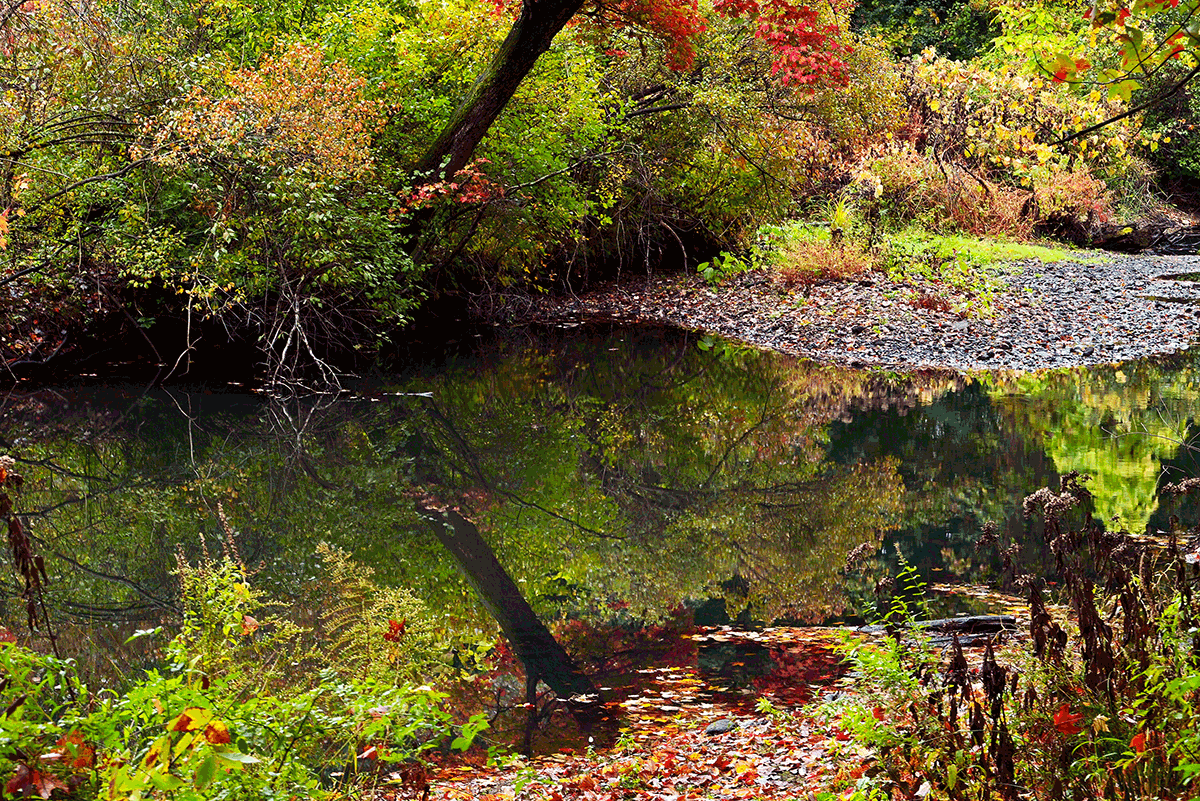 AVIS - 2024 Photo Competition Winners